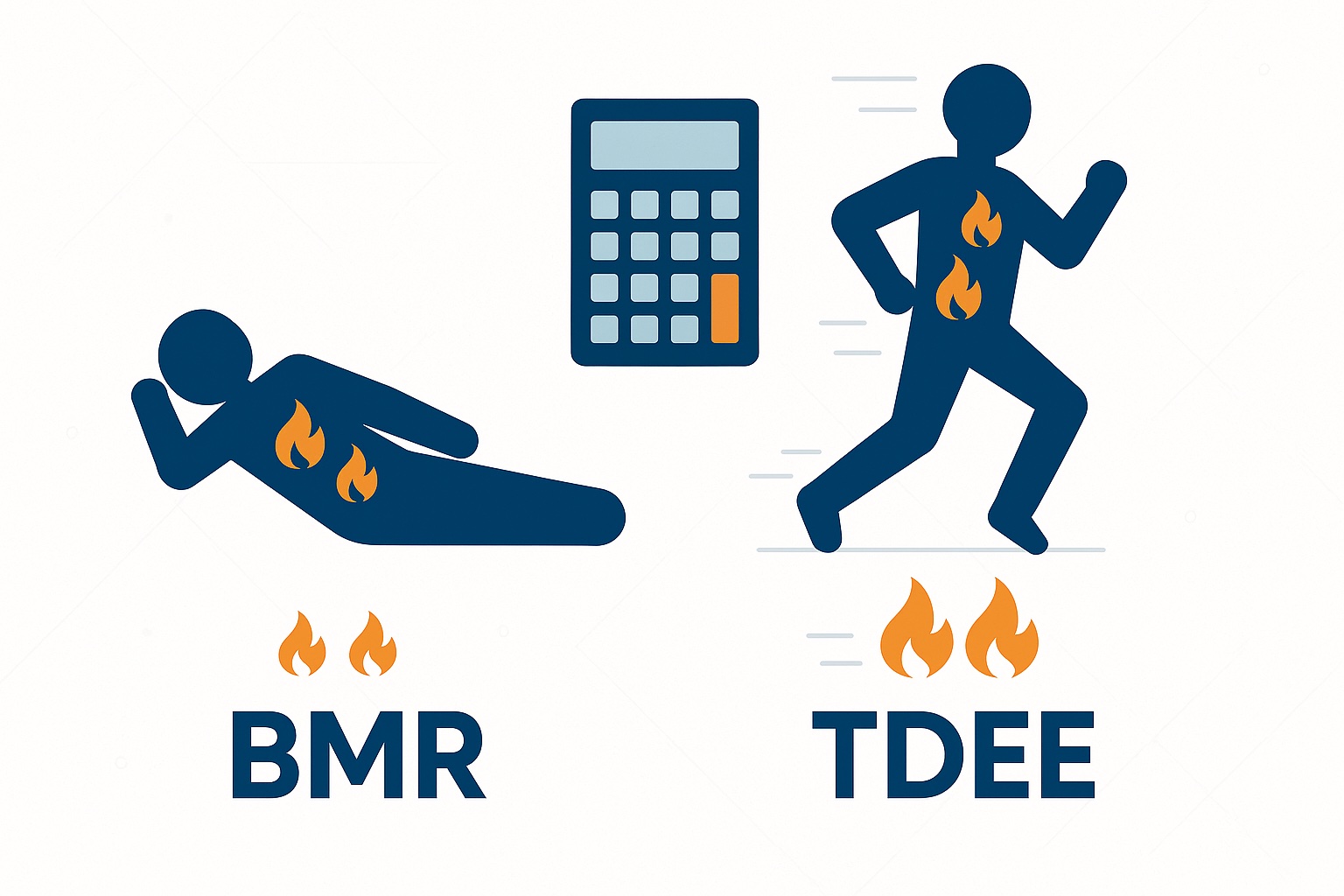 BMR vs TDEE: Key Differences for Weight Management